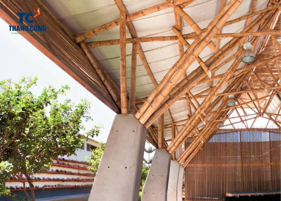 20 Uses Of Bamboo That You Didn't Know