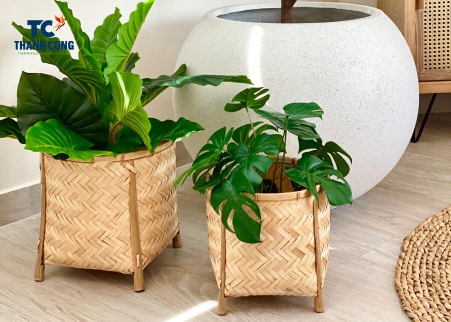 5 Examples Of Bamboo Products Brainly