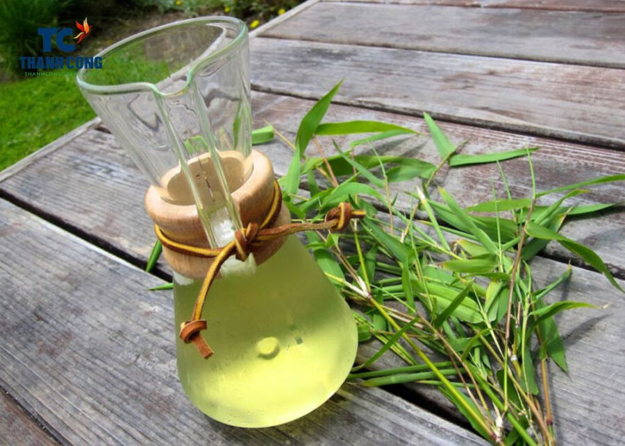Bamboo Medicinal Uses You Should Know