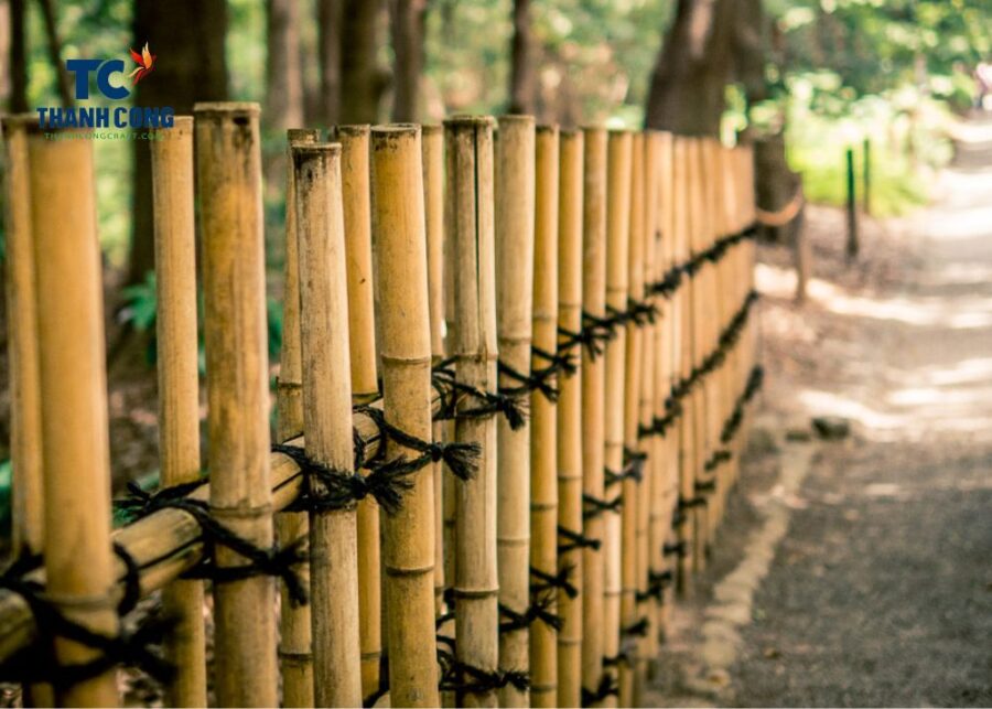 How Long Does A Bamboo Fence Last? How To Maintain It?