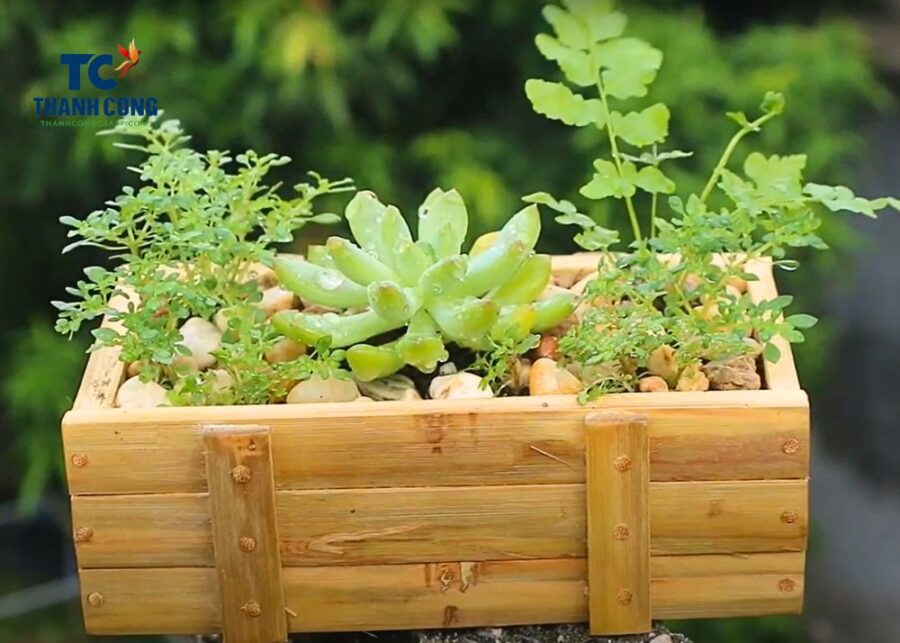 How To Make A Bamboo Planter? Explore It in 05 Easy Steps!