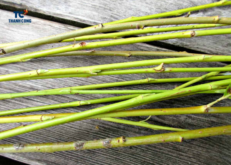 How to make a willow wreath step by step for Christmas?