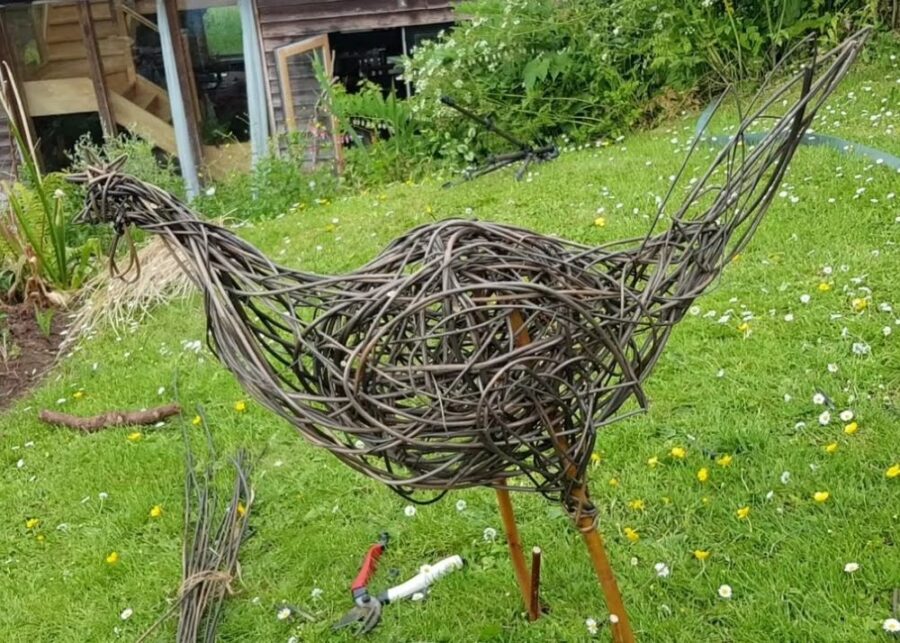 How to make a willow chicken step by step for beginners?