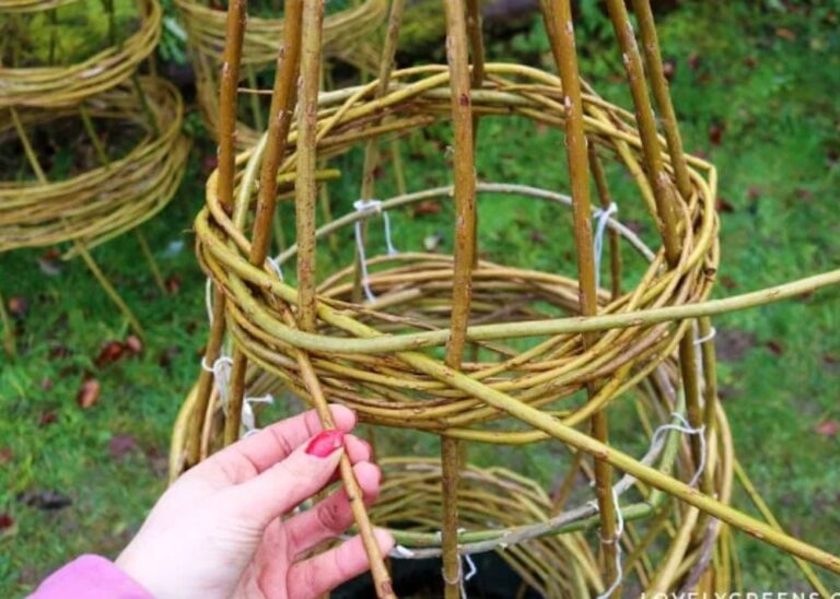 How to make a willow obelisk plant support?