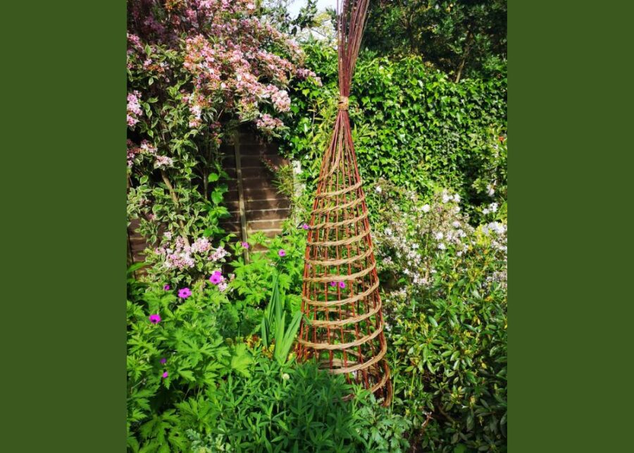 How to make a willow obelisk plant support?