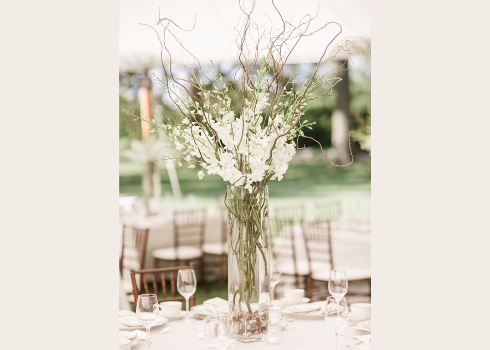 Decorating With Curly Willow Branches Ideas