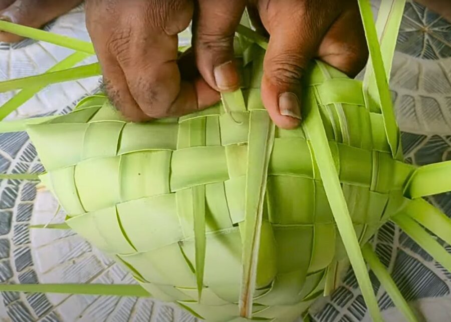 How to Weave a Basket with Palm Leaves/Fronds Step by Step?