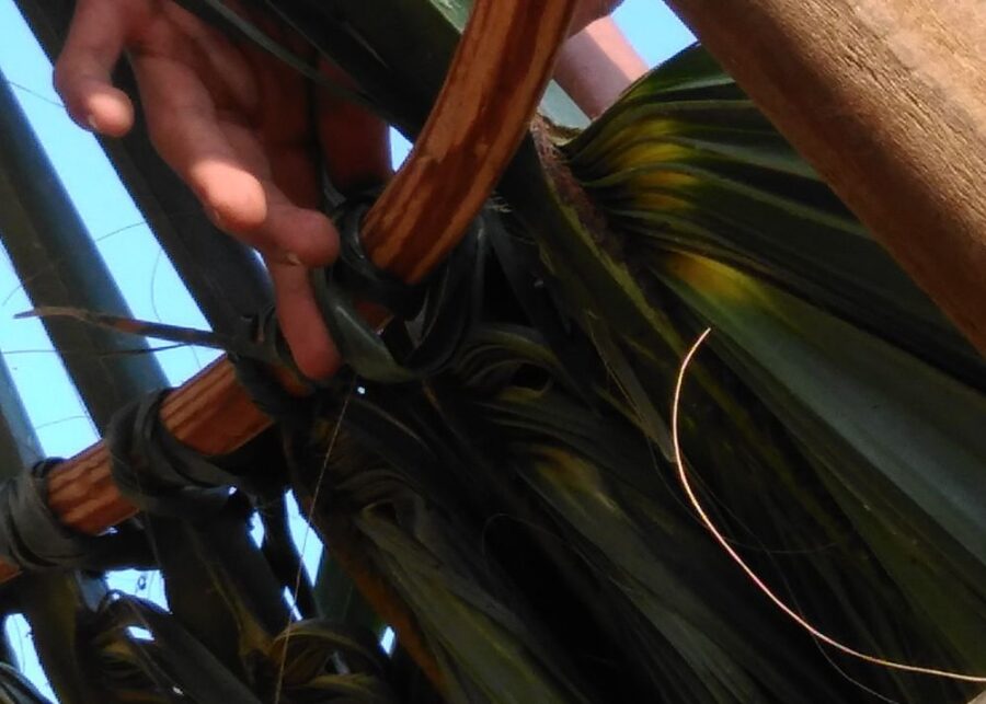 How to make thatch roof with palm fronds?