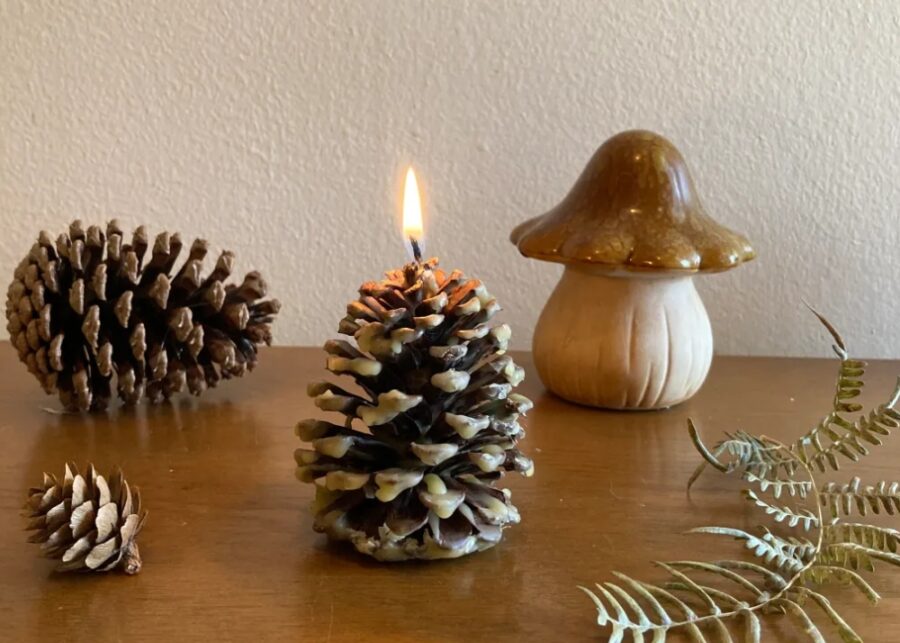 How to Make a Pine Cone Fire Starter?