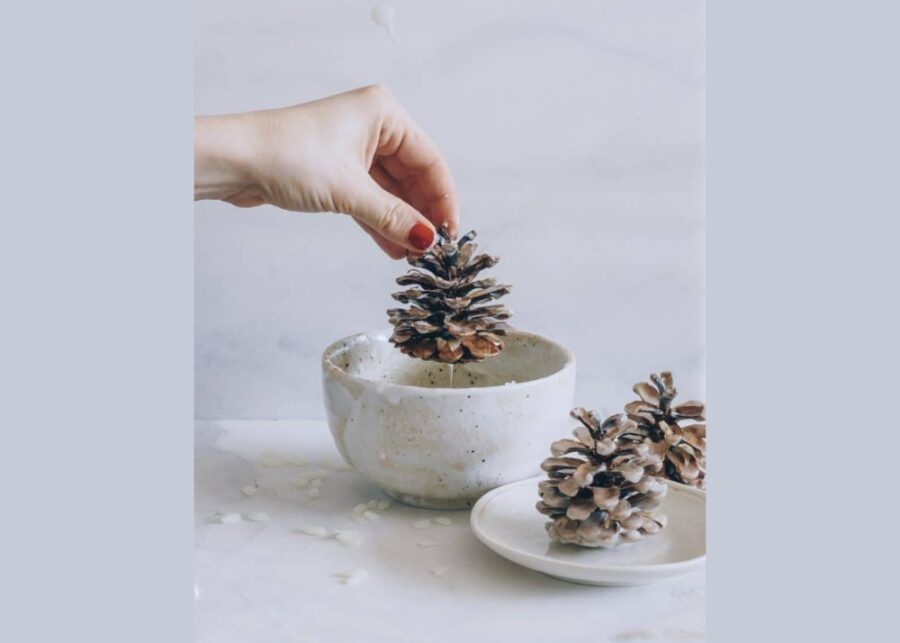 How to Make a Pine Cone Fire Starter?