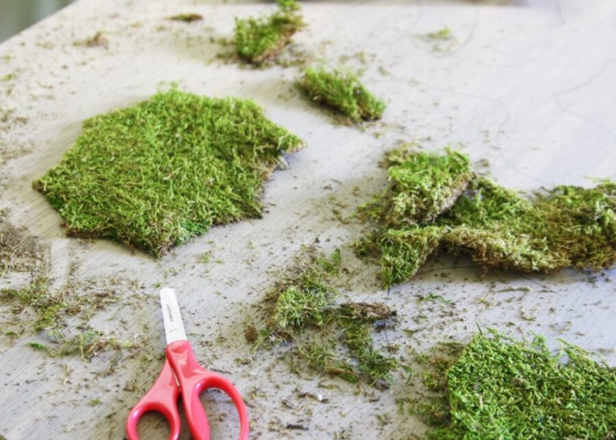 How to Make a DIY Moss Ball Home Decor?
