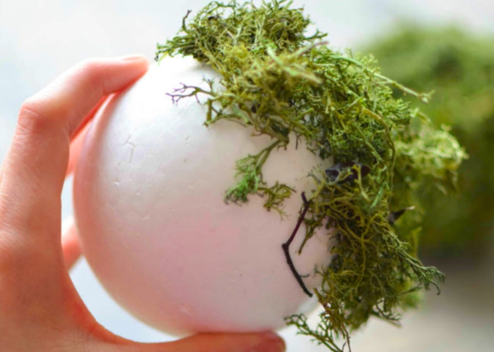 How to Make a DIY Moss Ball Home Decor?