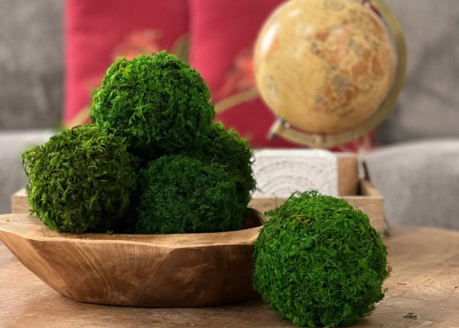 How to Make a DIY Moss Ball Home Decor?