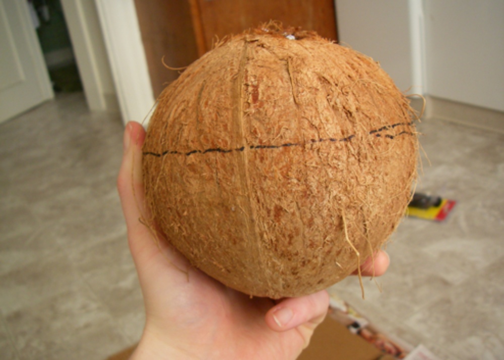 How to make a coconut bird feeder?