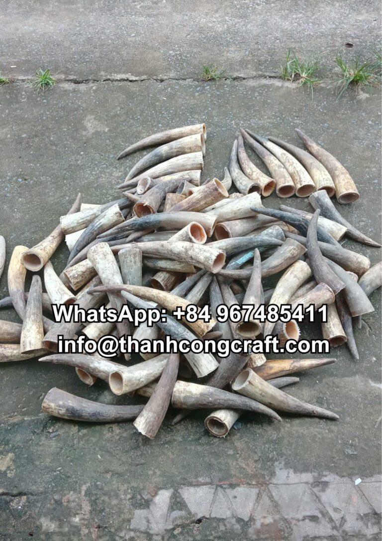 What is Silver Buffalo Horn? - Thanh Cong Handicraft Export Co.,Ltd