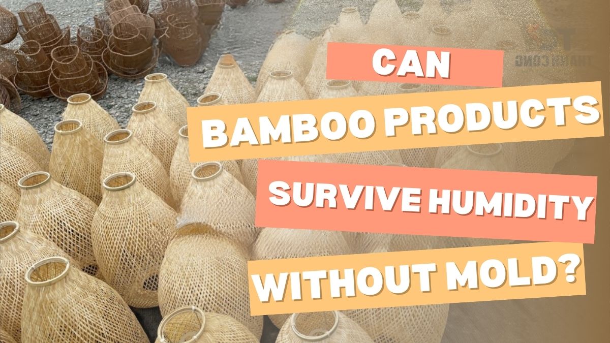Can Bamboo Products Survive Humidity Without Mold?